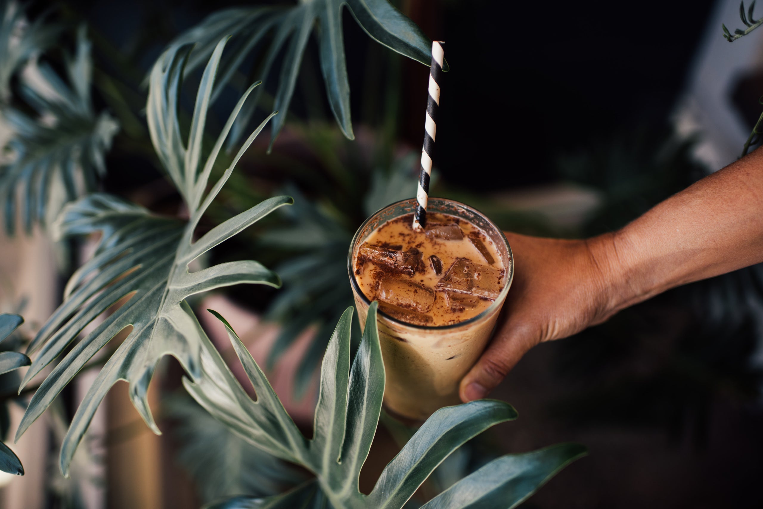 Tea Based Drinks | Scout Coffee To Go